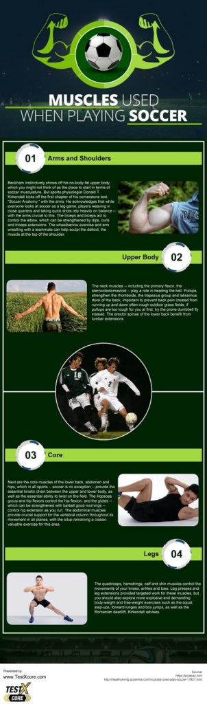 Muscles Used When Playing Soccer | Latest Infographics