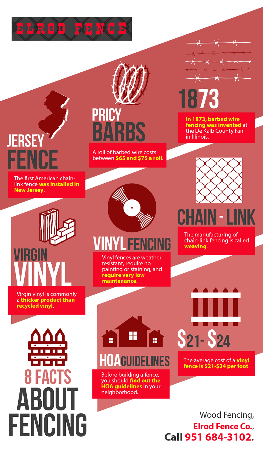 8 Facts About Fencing | Latest Infographics