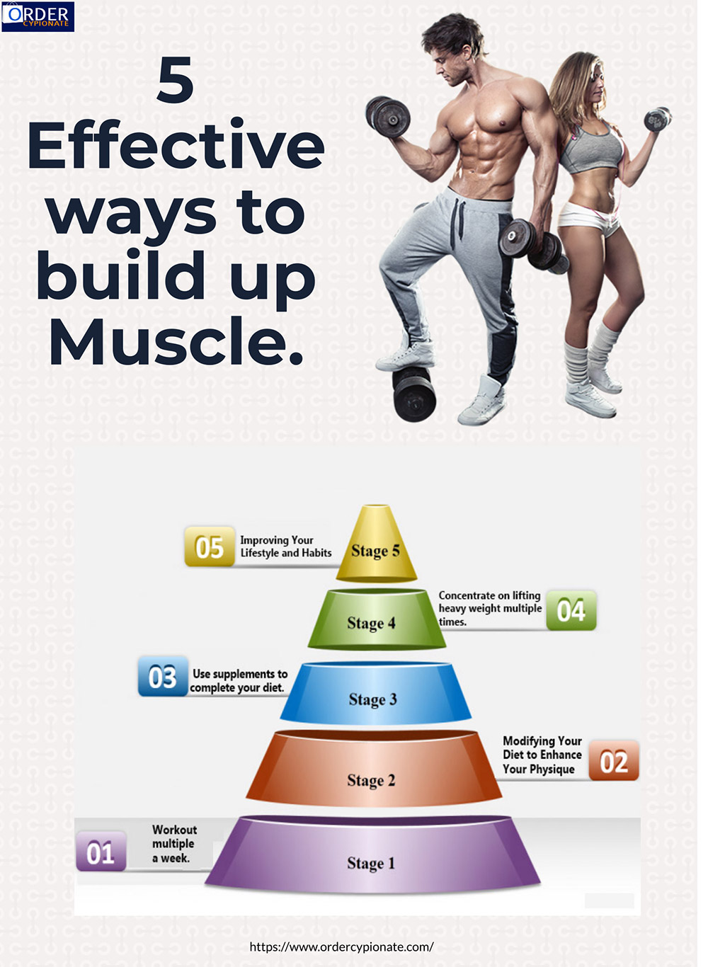 5 Effective ways to build up Muscles. | Latest Infographics