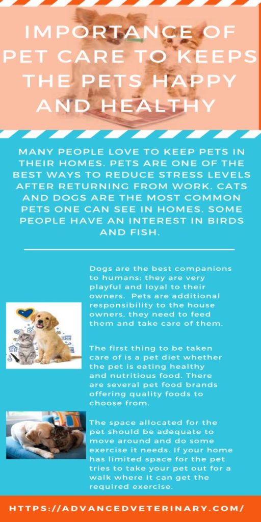 Importance of pet care to keeps the pets happy and healthy | Latest ...